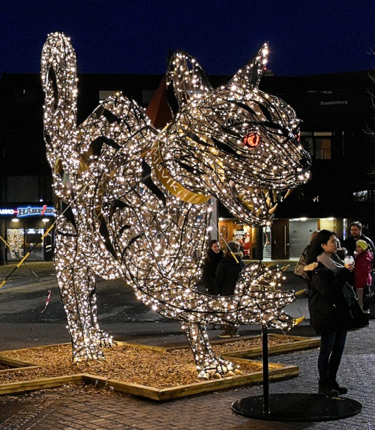 Jólakötturinn: the Icelandic Legend of the Child-Eating Christmas Cat ...