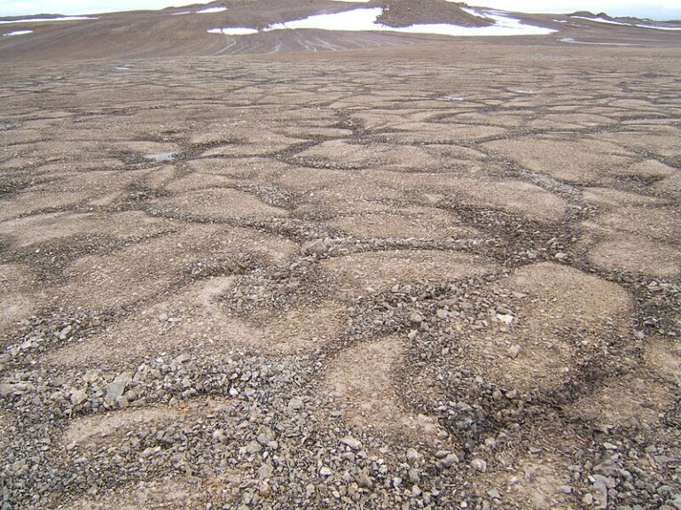 Devon Island: A Mars Analog Shaping the Future of Space Travel | OddFeed