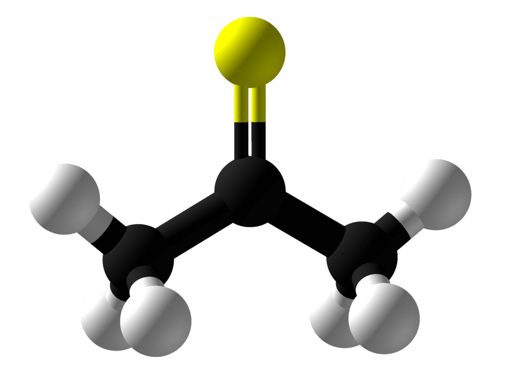 Thioacetone: The World's Most Pungent Scent? | OddFeed